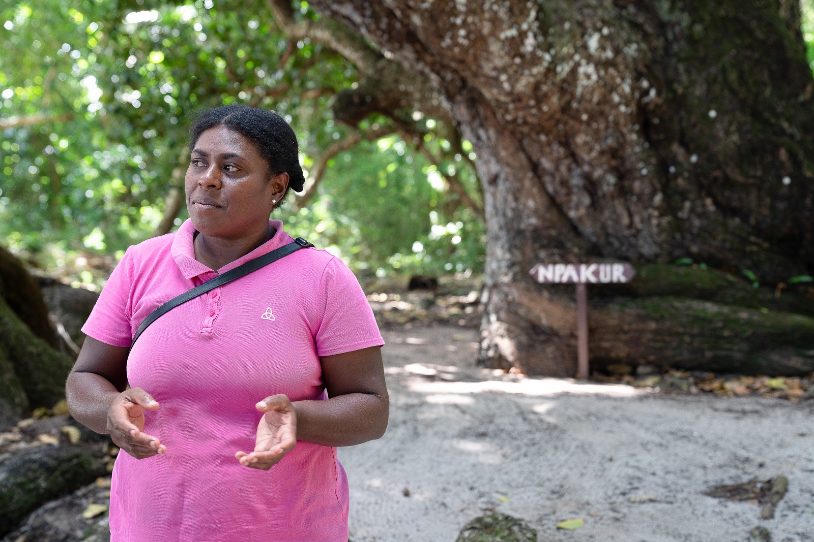 Image Gallery - The Havannah Vanuatu | Multi-Award Winning Resort